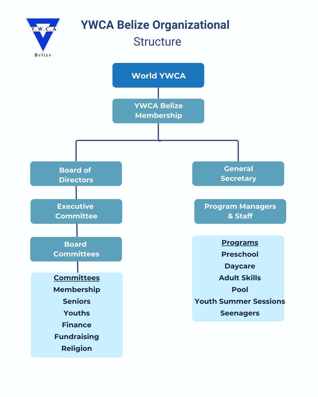Organizational Structure - YWCA